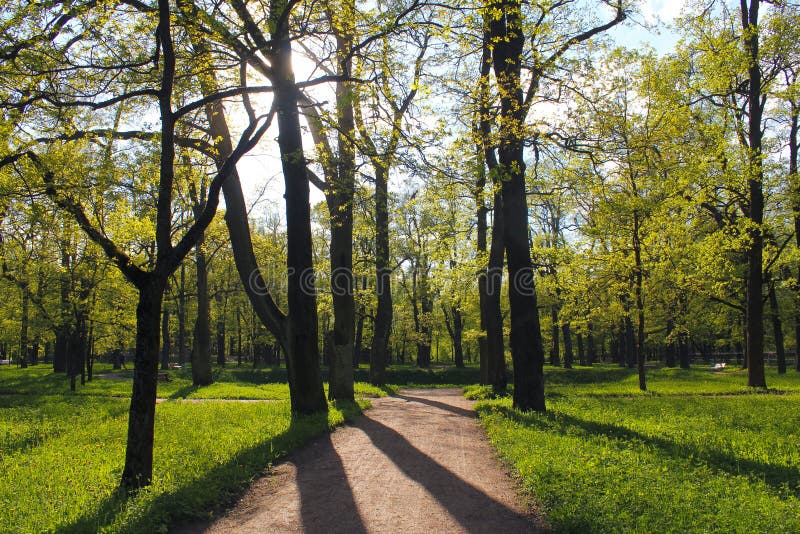 Spring Park View, Gatchina, Gatchina Park Stock Photo - Image of ...