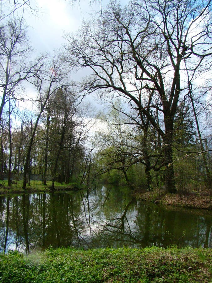 Spring park view stock image. Image of water, waterside - 109021199