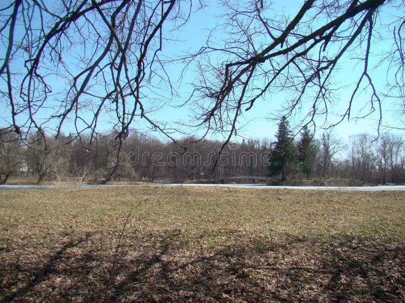 Spring Park View with Water Stock Photo - Image of park, season: 113297660