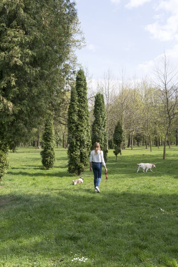 In the spring park stock image. Image of environment - 39695533