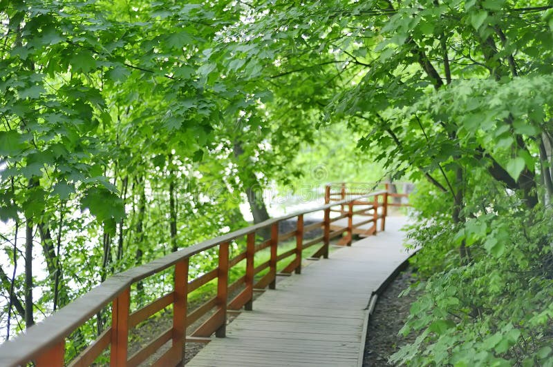 Spring park stock image. Image of botanic, pathway, trail - 53928761