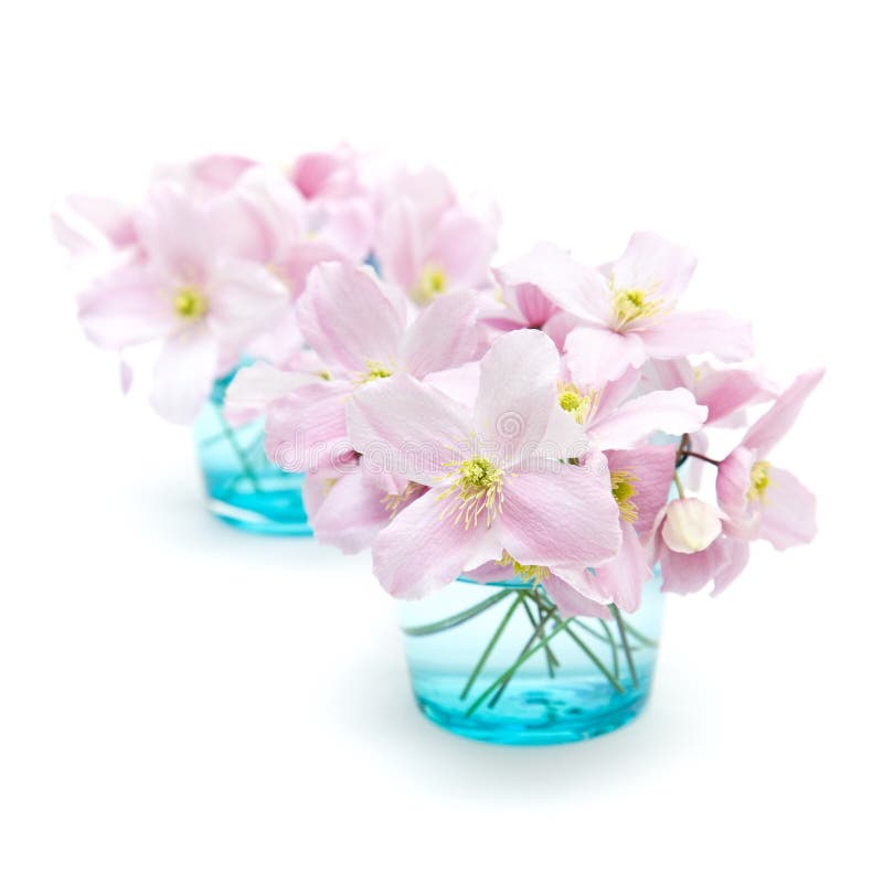 Spring pastel stock photo. Image of flowerheads, simple - 14347454