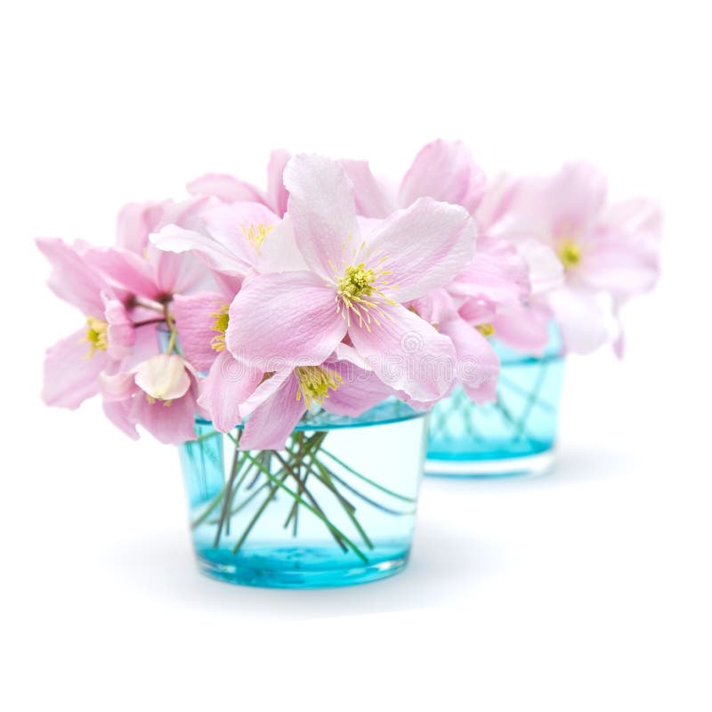 Spring pastel stock image. Image of pale, pink, isolated - 14347503