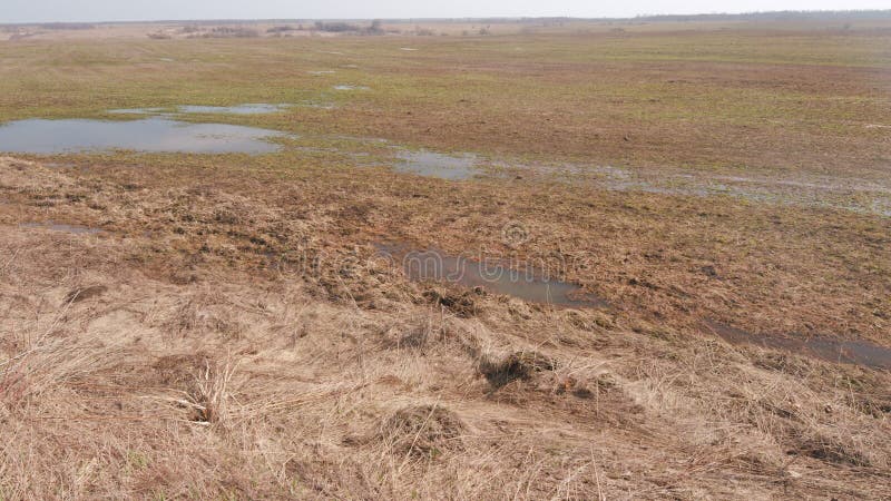 Spring Pasture Landscape To the Horizon with Puddles from Melted Snow ...