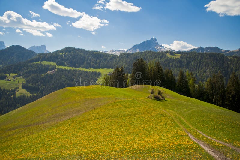 Spring Pastures in Dolomite Mountains of Italy Stock Photo - Image of ...