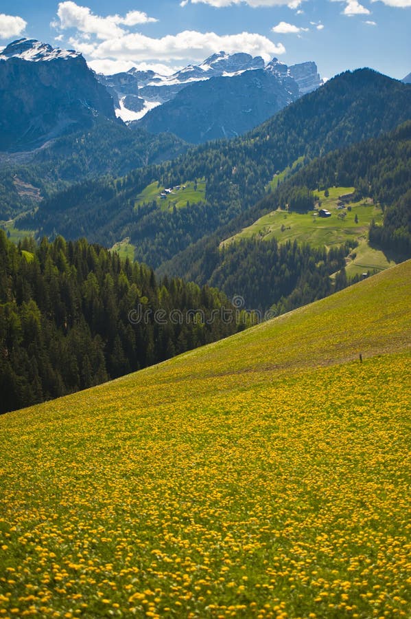 Spring Pastures in Dolomite Mountains of Italy Stock Photo - Image of ...