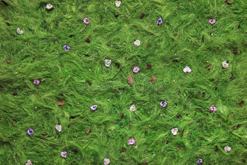 Spring stock image. Image of decoration, green, decorative - 245914995