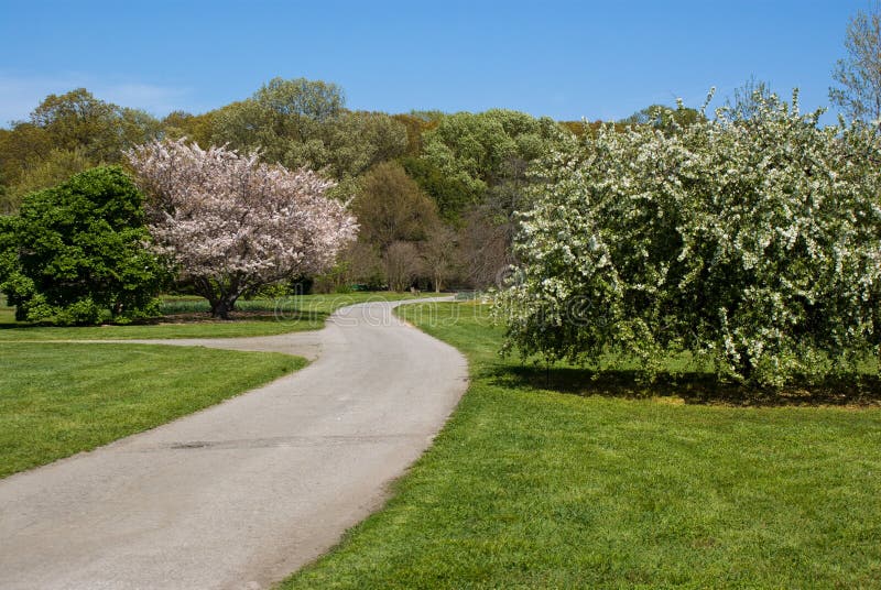Spring Path stock image. Image of bushes, path, leaves - 27753649