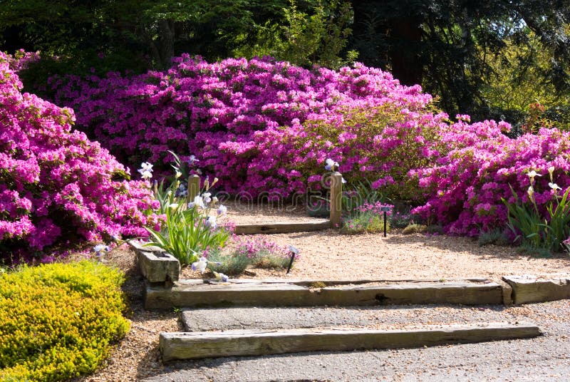 Spring Path stock photo. Image of trail, path, leaves - 28328748