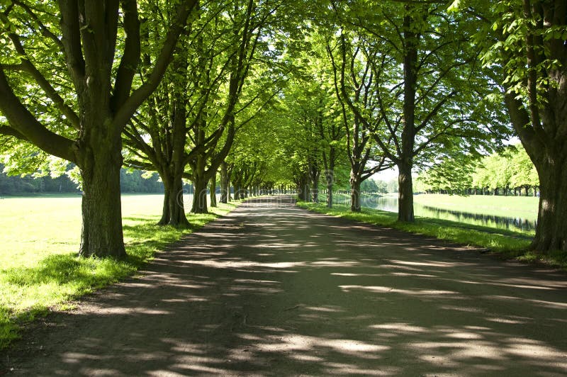 Spring path stock image. Image of outdoors, green, atmosphere - 9036859