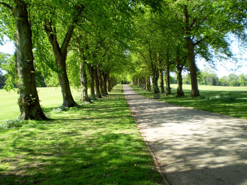 Garden stone path in park stock photo. Image of botany - 9998182