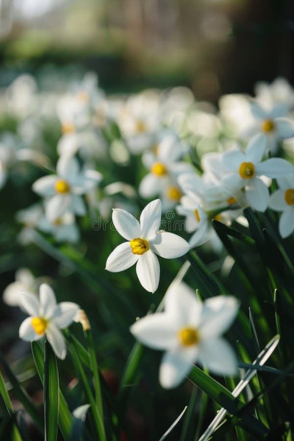 Spring Pattern with a Color Flowers Stock Illustration - Illustration ...