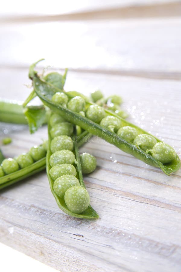 Spring peas stock image. Image of spring, open, producing - 21296467