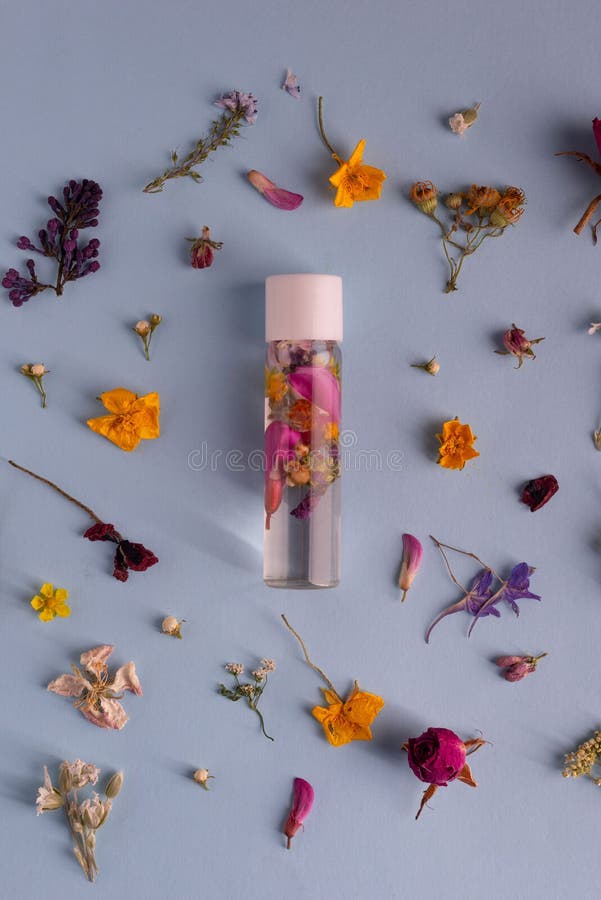 Spring Perfume on Floral Blue Background Top View Floral Spring ...