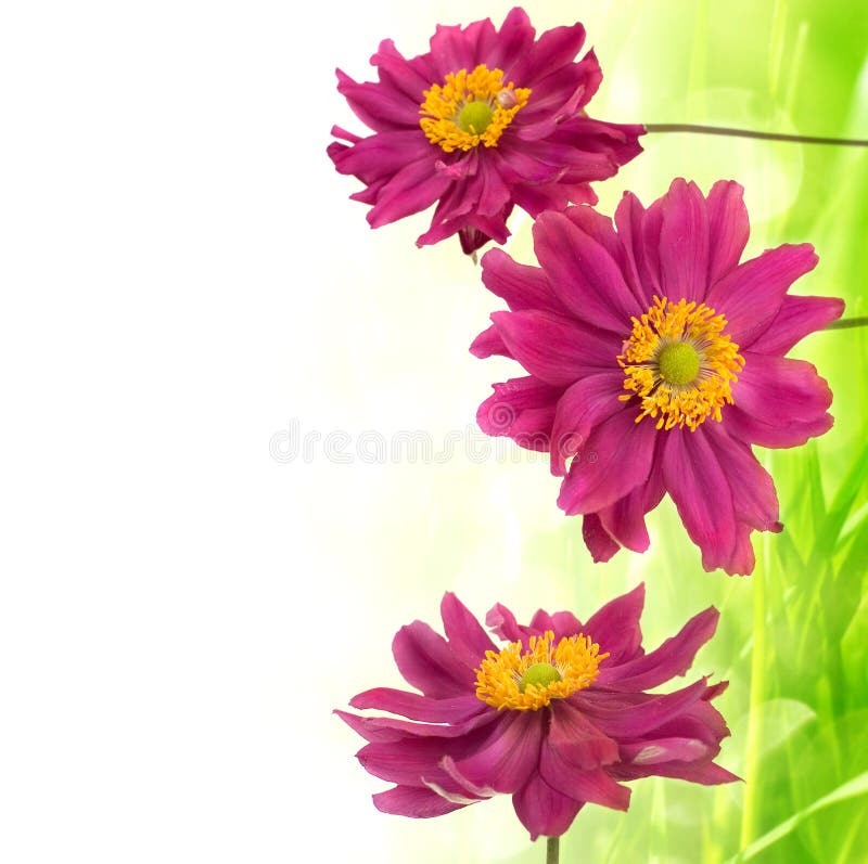 Spring and Winter Landscape Stock Image - Image of bright, scene: 17753955