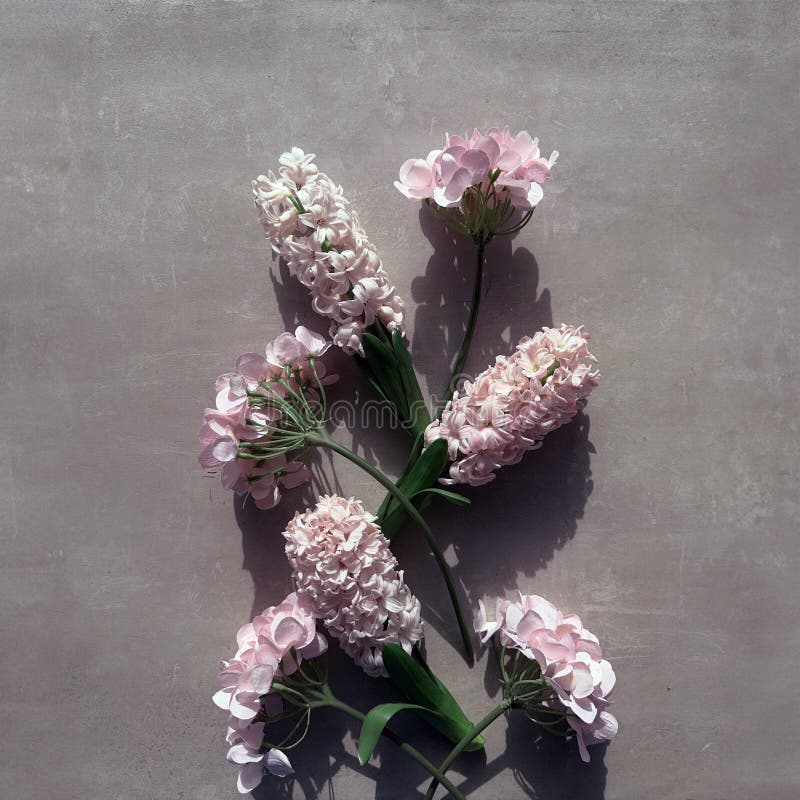 Spring Pink Flowers on Table Stock Photo - Image of gardening, flora ...