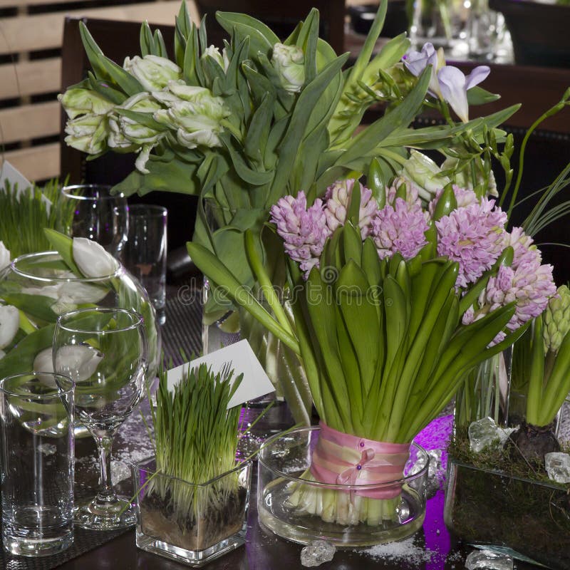 Spring pink hyacinth stock photo. Image of botany, present - 17976206