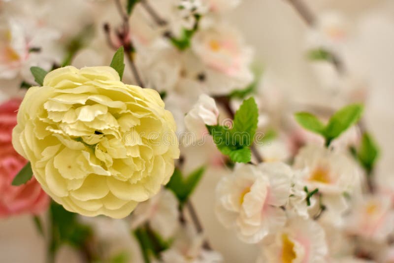 Spring Pink Plastic Sakura Flower Decorating a Garden Stock Photo ...