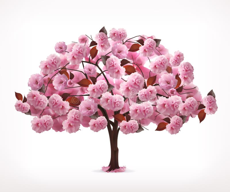 Spring pink tree stock vector. Illustration of icon, nature - 65678613