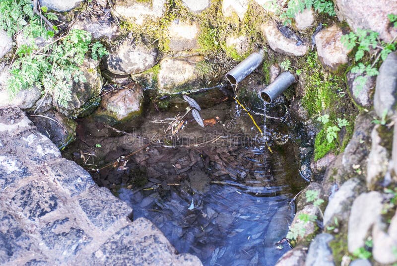 Spring with pipe stock image. Image of freshness, neat - 39339795