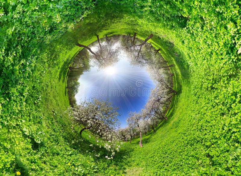 Spring planet stock image. Image of forest, high, bloom - 25044709