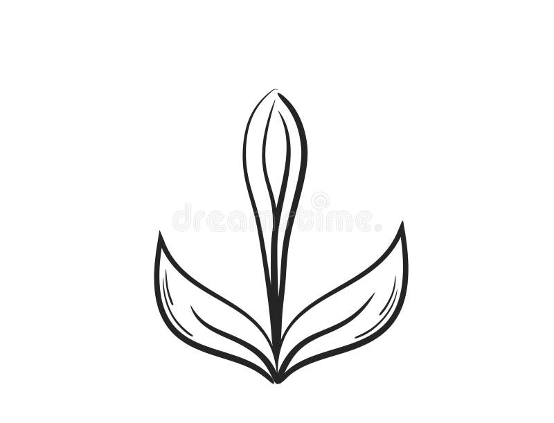 Spring Plant Bud Line Illustration. Sprout, Planting and Nature Design ...