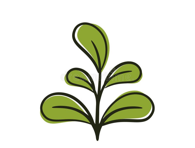 Spring Plant with Five Rounded Leaves. Planting and Nature Design ...