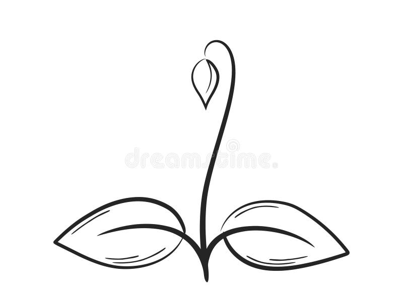 Spring Plant Sprout with Bud Line Illustration. Planting, Botany and ...