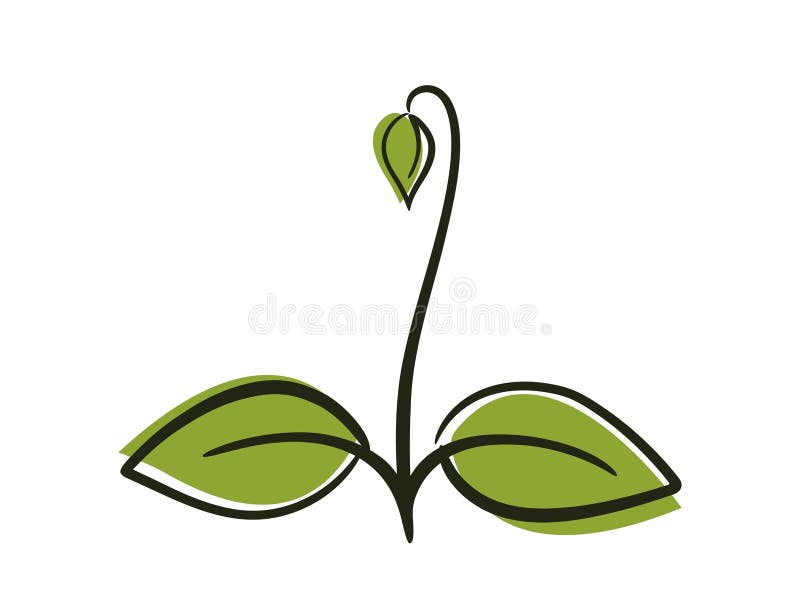 Spring Plant Sprout with Bud. Planting, Botany and Nature Design ...