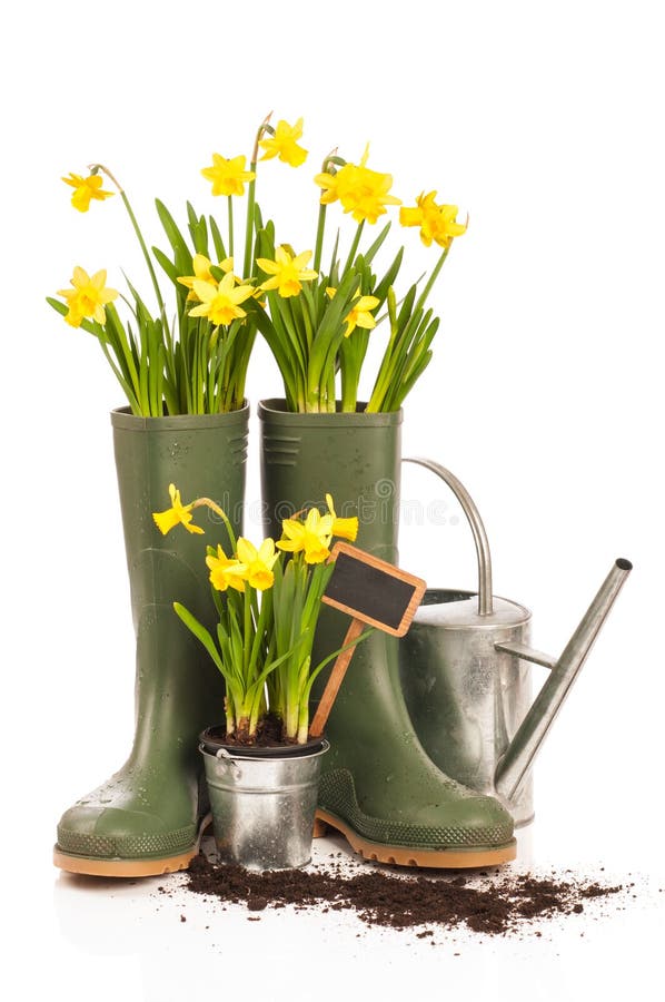 Spring planting stock photo. Image of dirt, cultivation - 100594