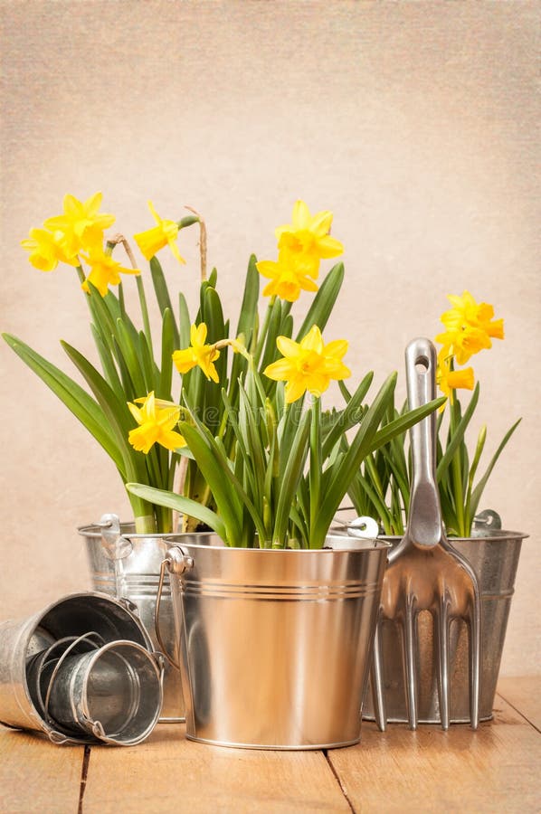Spring planting stock image. Image of flowers, sprout, tree - 897783