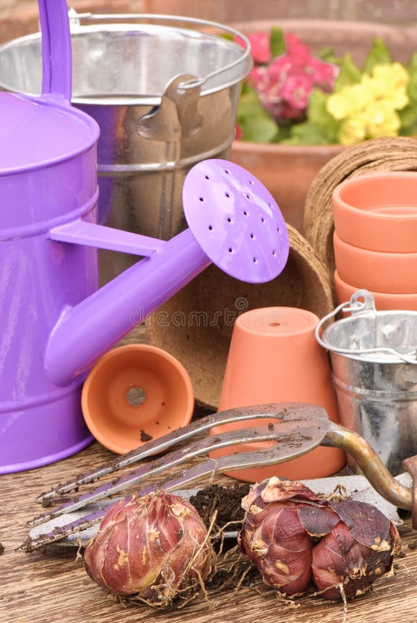 Spring planting stock image. Image of flowers, sprout, tree - 897783