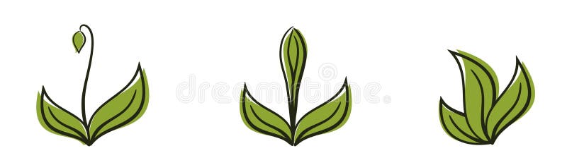 Spring Plants Illustrations. Sprout, Planting and Nature Design ...