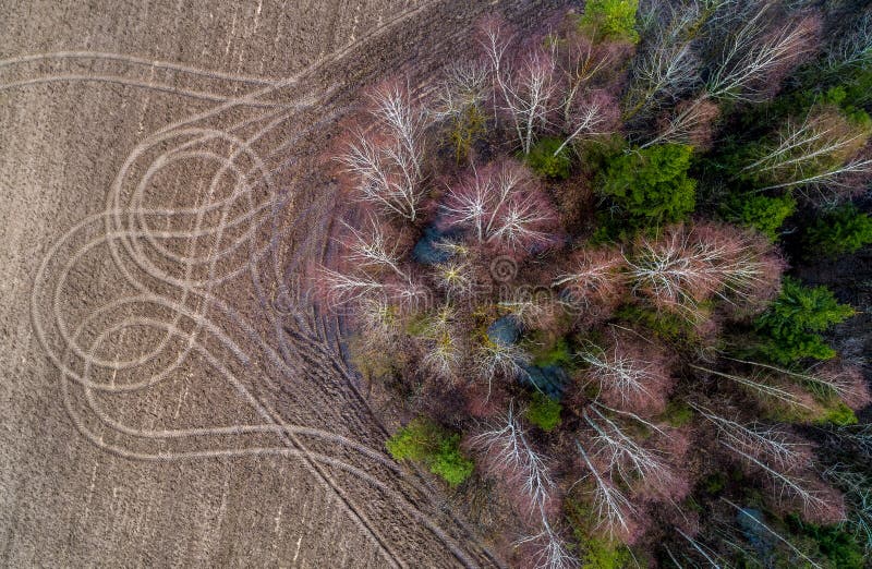 The Plowed Field, the Woods, the View from the Drone, the Patterns on ...