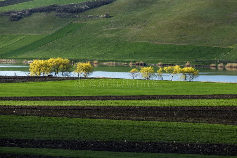 Spring Plowing Land Near Lake Stock Photo - Image of hillsides, black ...