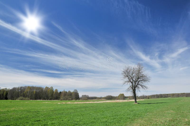 Spring in Poland stock photo. Image of season, green - 24510482