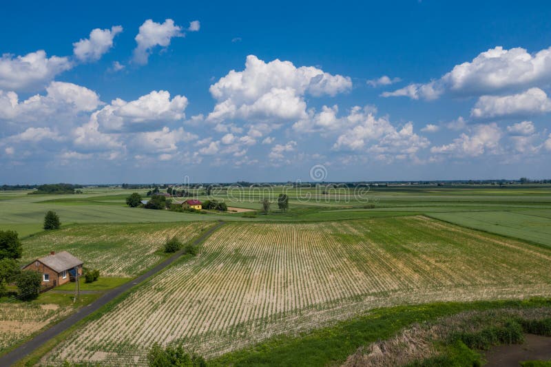 Spring at the Polish Fields. Drone Action - Above Polish Spring Fields ...