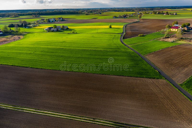 Spring at the Polish Fields. Drone Action - Above Polish Spring Fields ...