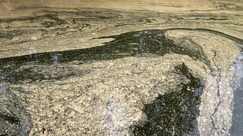 Spring Pollen Cluster in a Water Stock Image - Image of empty, natural ...