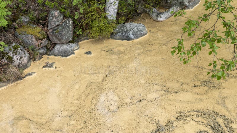 Spring Pollen Cluster in a Water Stock Image - Image of pattern, pollen ...