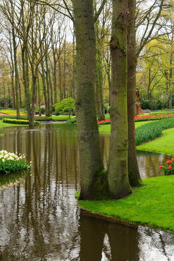 Spring pond in garden stock photo. Image of plant, green - 70708752