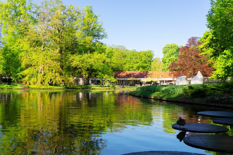 Spring pond in park stock photo. Image of bench, green - 169693444