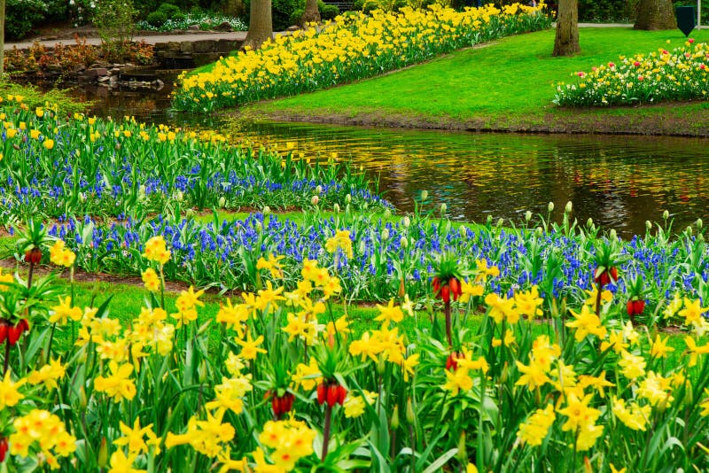 Spring pond in park stock image. Image of fresh, landscape - 205523809
