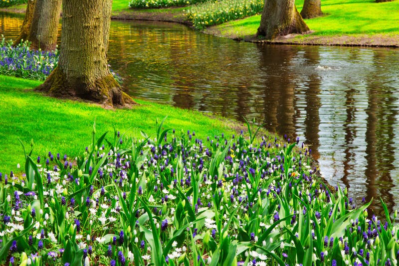 Spring pond in park stock image. Image of bench, blossom - 205523845