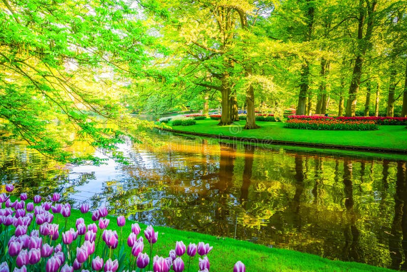 Spring pond in park stock image. Image of bloom, house - 131324231