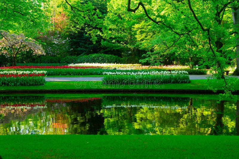 Spring pond in park stock photo. Image of botany, field - 128831740
