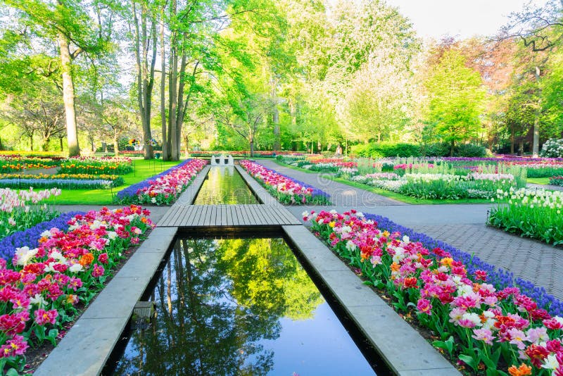 Spring pond in park stock image. Image of beautiful - 140072477