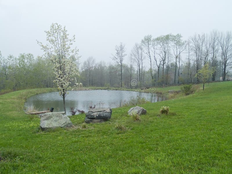 Spring Pond Poconos stock image. Image of lake, poconos - 12776543
