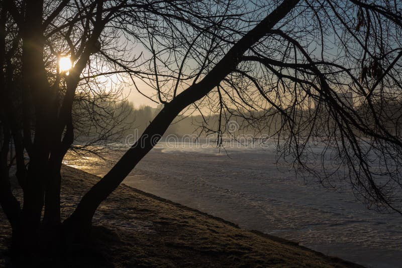 Spring Pond and Trees in the Morning Stock Photo - Image of storm, tree ...