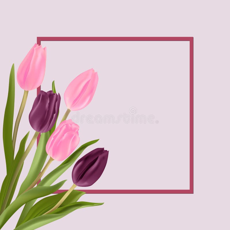 Pink Tulip Floral Design Border Stock Illustrations – 2,209 Pink Tulip ...